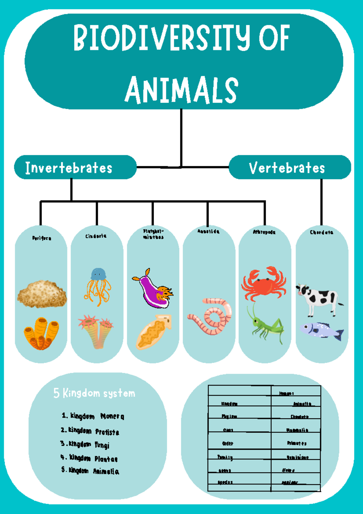 Biodiversity Of Animals 1 - BIODIVERSITY OF ANIMALS ...