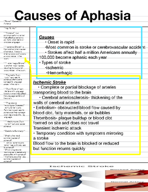 Introduction TO CASD 4 - CASD notes - • Lifespan Issues • Most victims ...
