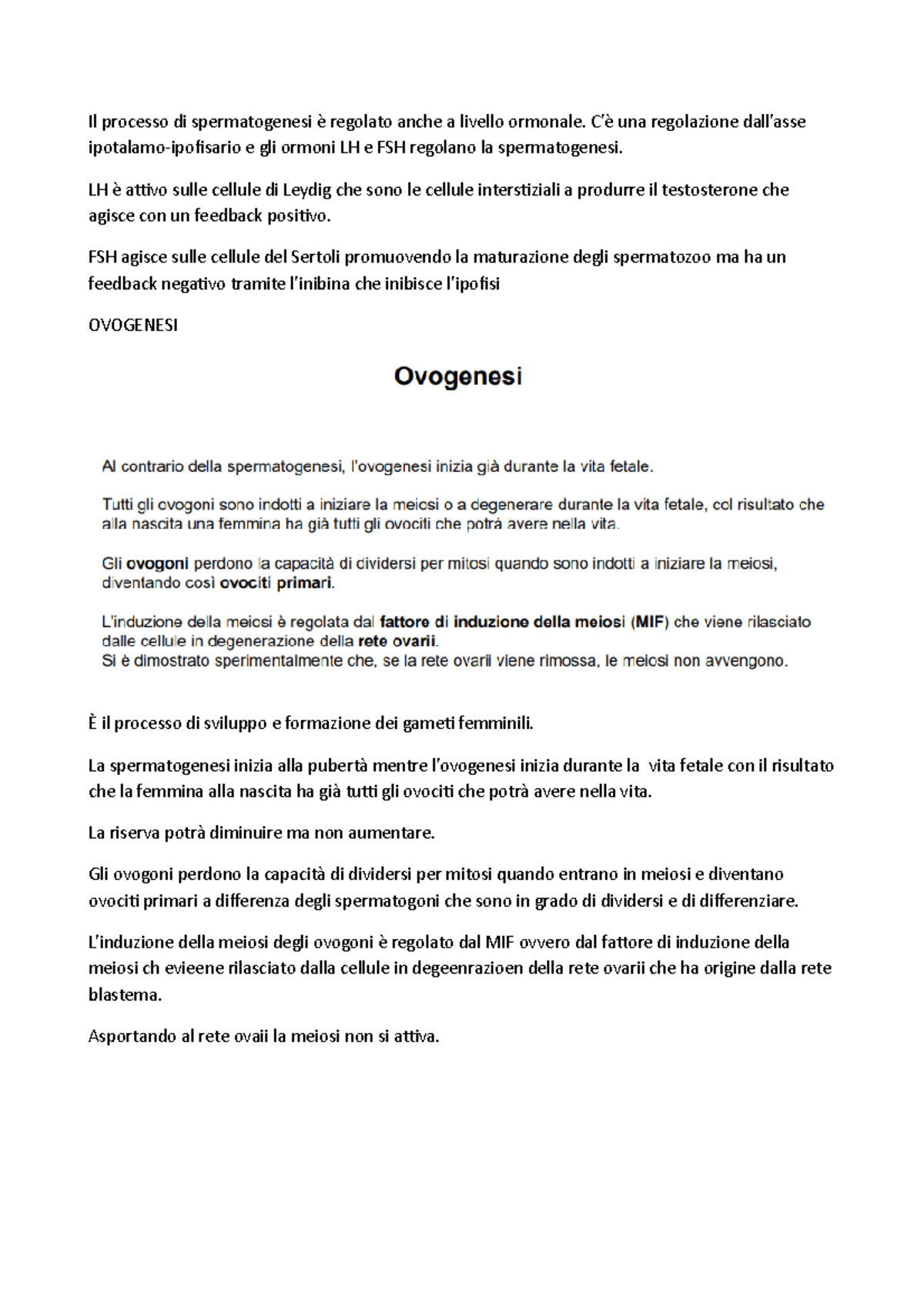 Ovogenesi - dispense essenziali - Il processo di spermatogenesi è ...