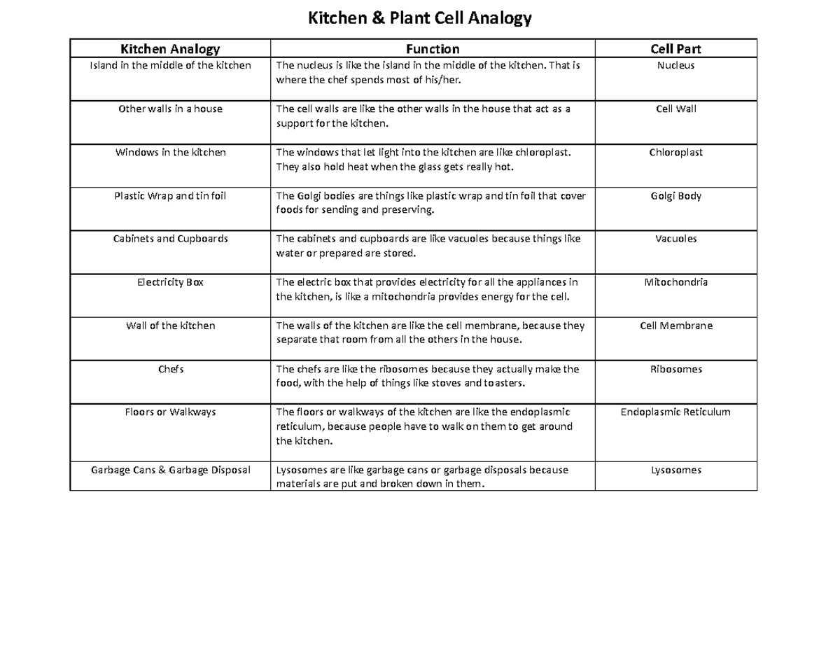 jiguyuuyd awdas - Kitchen & Plant Cell Analogy Kitchen Analogy Function ...