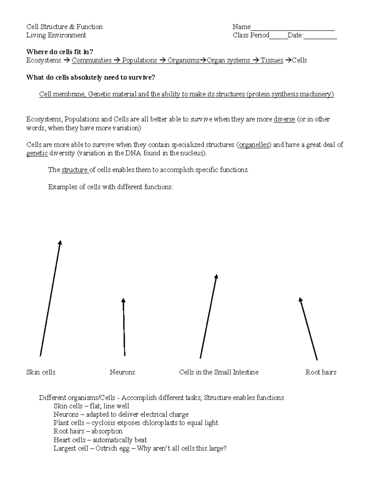 Cell Structure and Function in Living Environment Class - Studocu