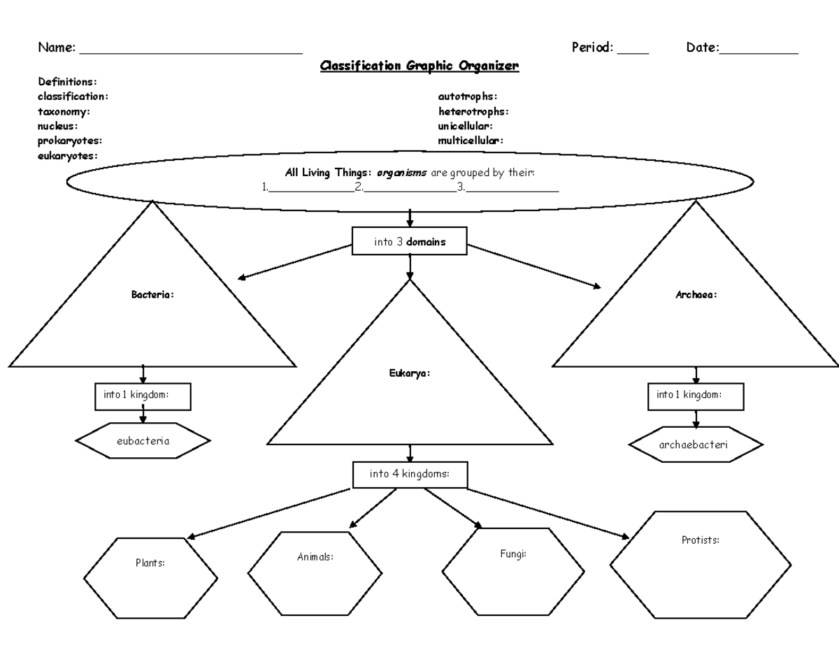 Classification Graphic Organizer-Student 1 - Name ...