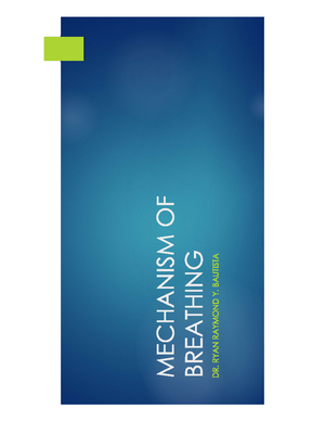 Anatomical terms - All about the terminology - Anatomical terms When ...