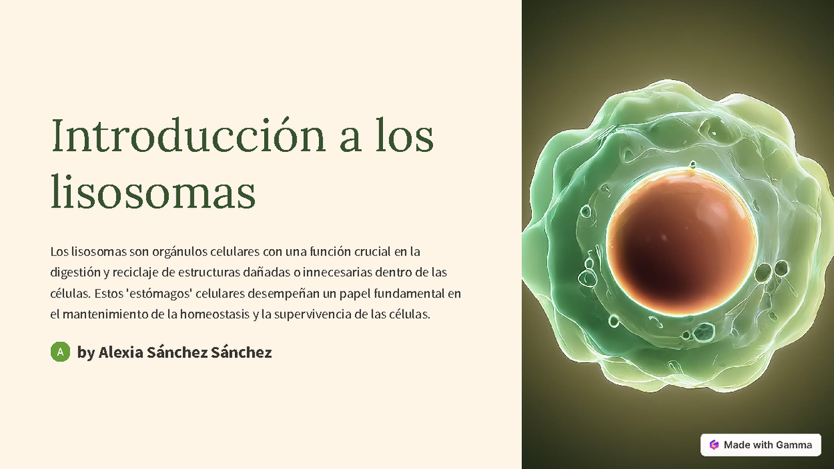 Introduccion a los lisosomas - Introducción a los lisosomas Los ...