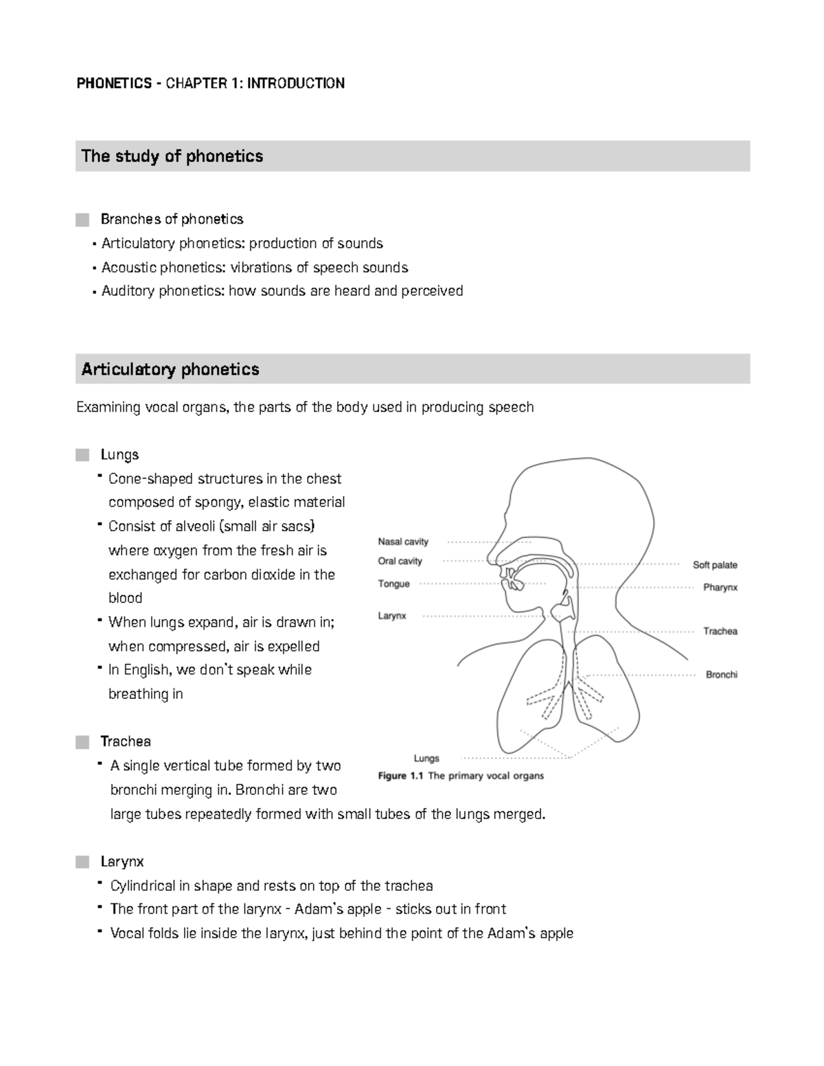 [ LIN228 ] CHAPTER 1 SUMMARY - PHONETICS - CHAPTER 1: INTRODUCTION ...