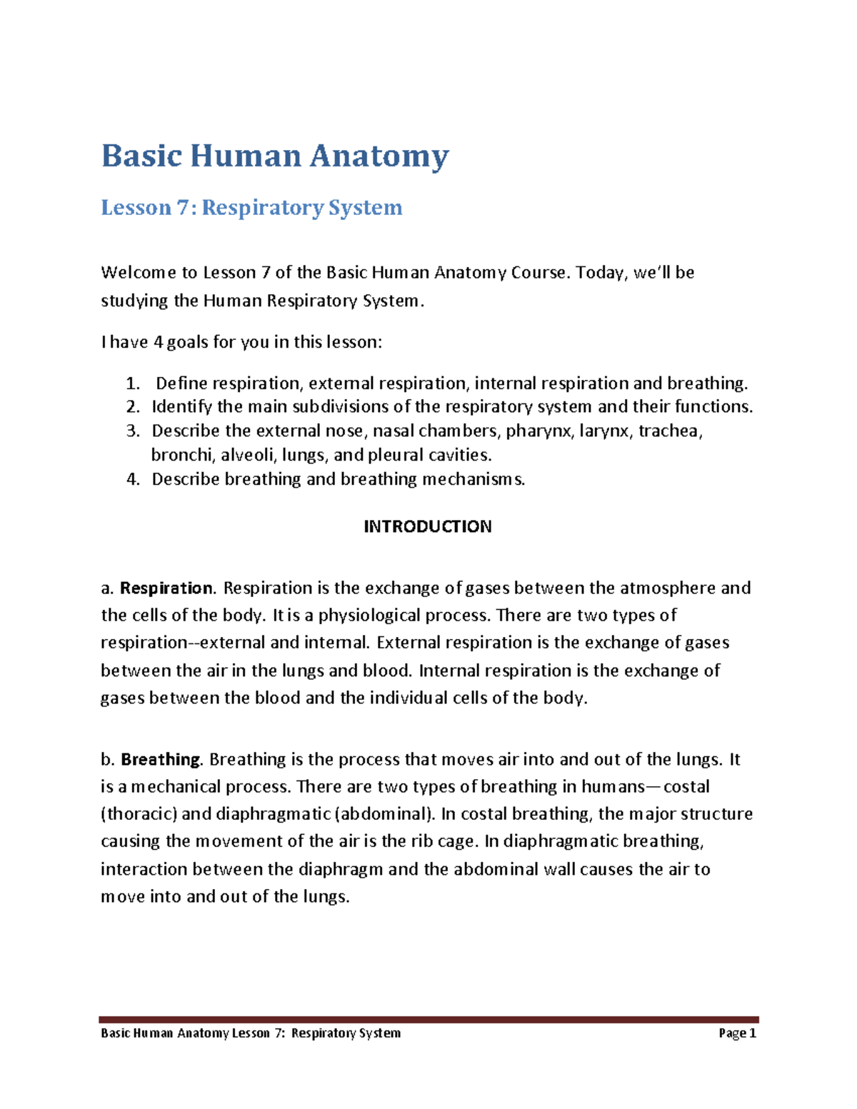 Anatomy 7 Lecture Notes - Basic Human Anatomy Lesson 7: Respiratory ...