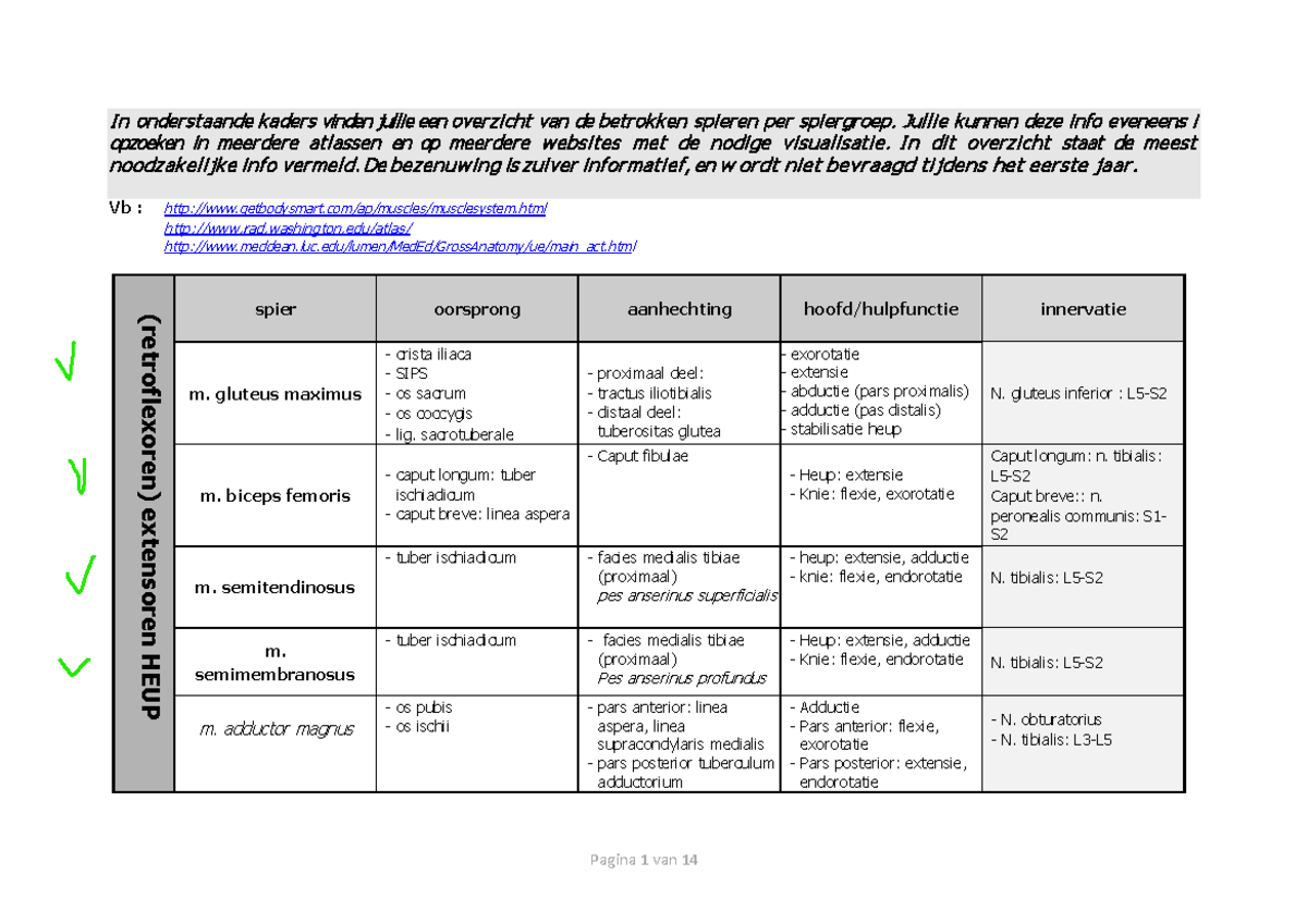Myologie OL 23 nov - Vb : getbodysmart/ap/muscles/musclesystem.html rad ...