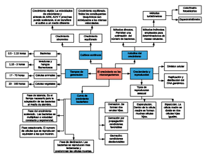 Fotoautótrofos - Apuntes 4 - FOTOAUTÓTROFOS Los organismos ...