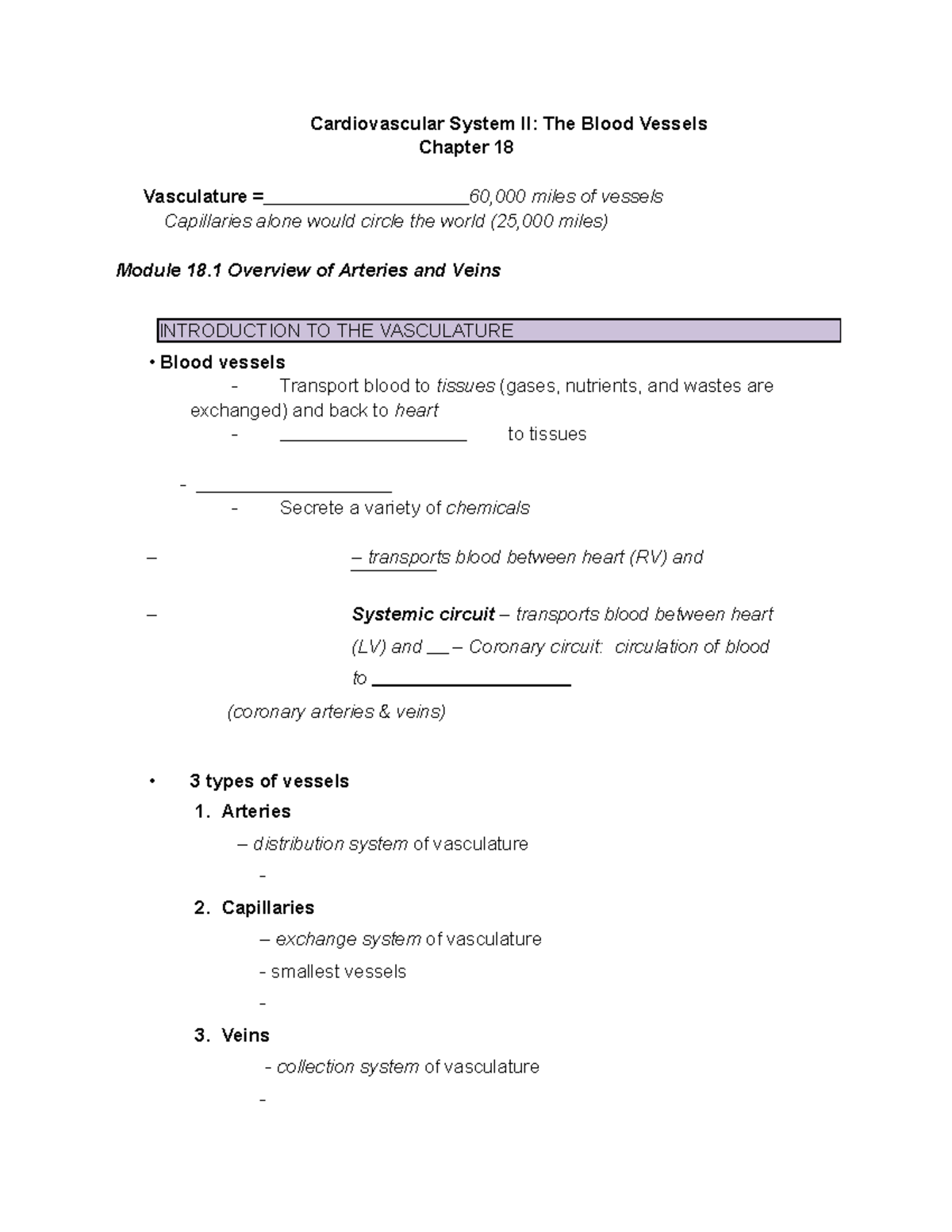 Cardiovascular System II chapter 18 blood vessels - Cardiovascular ...