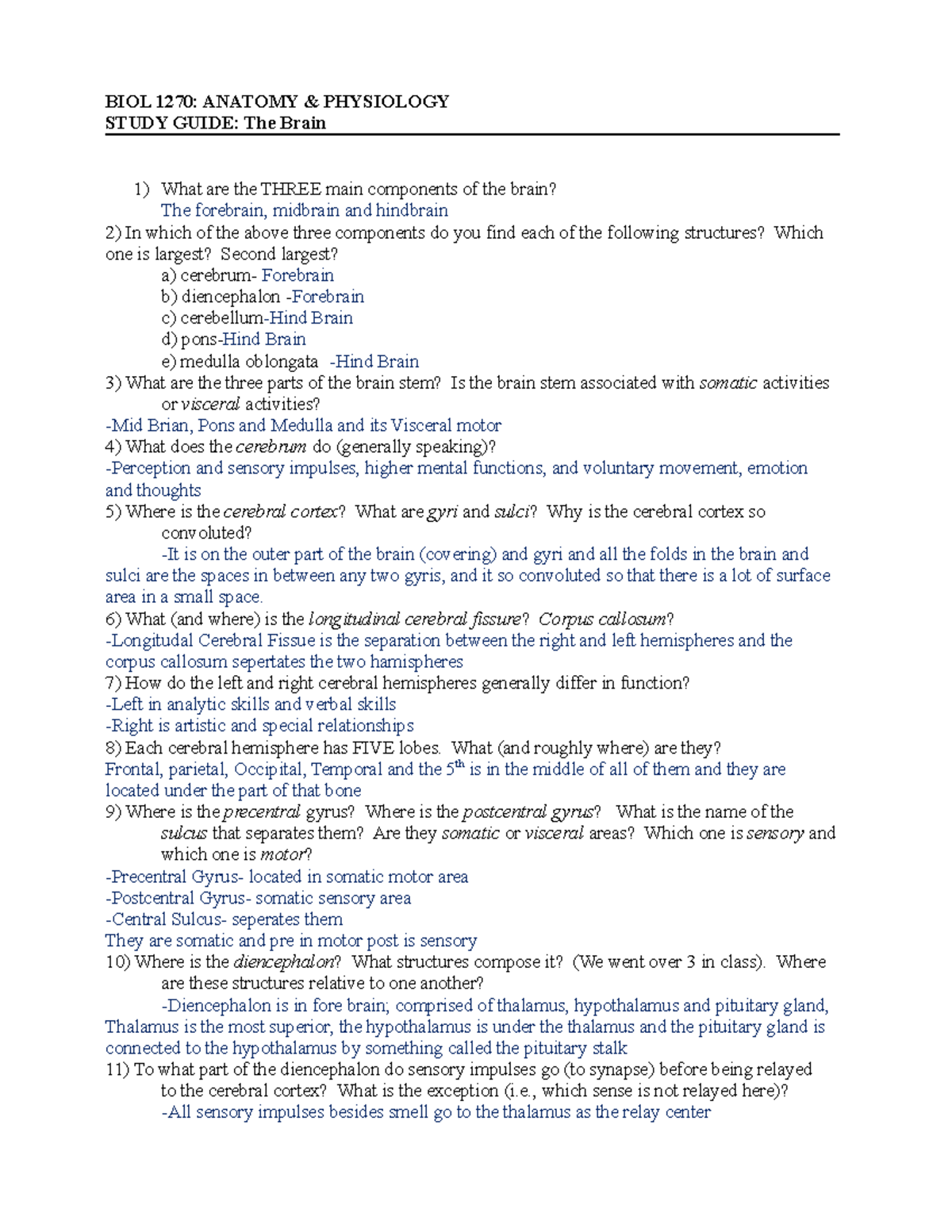 08-the brain (study guide) - BIOL 1270: ANATOMY & PHYSIOLOGY STUDY ...