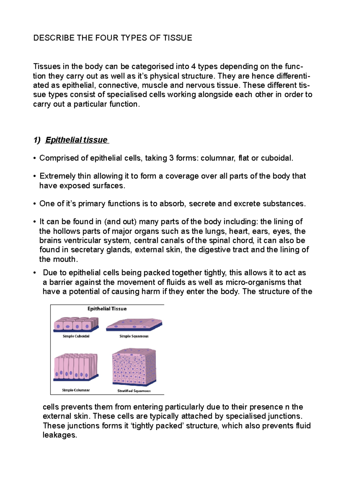 Cell and tissues - DESCRIBE THE FOUR TYPES OF TISSUE Tissues in the ...