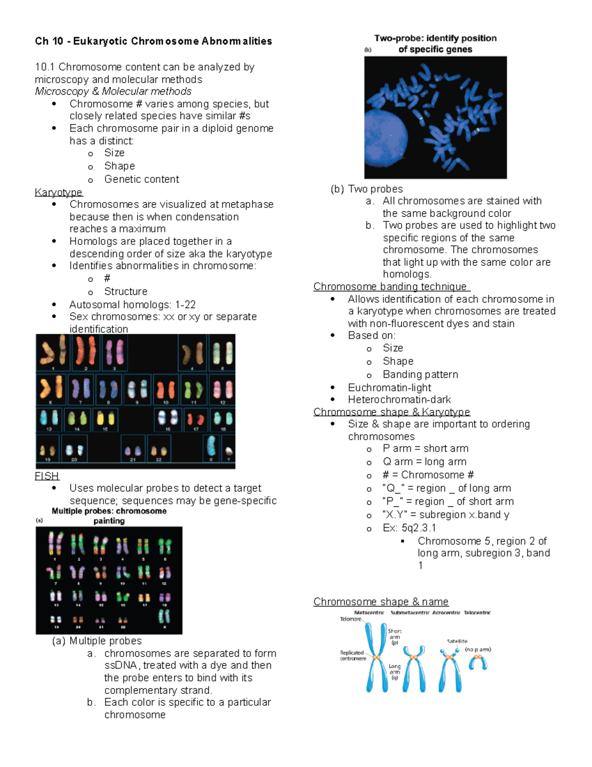 Final Exam Bio 203 Notes - Ch 10 - Eukaryotic Chromosome Abnormalities ...