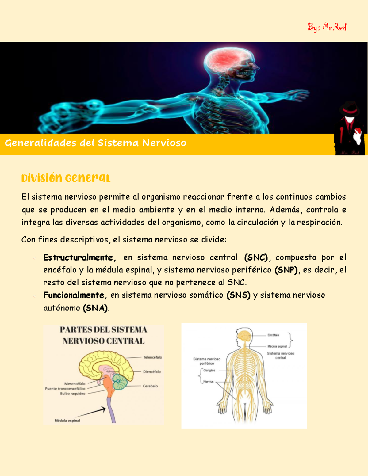 Generalidades del SN - SDASDASDAS SDASDS DASD - División General El ...