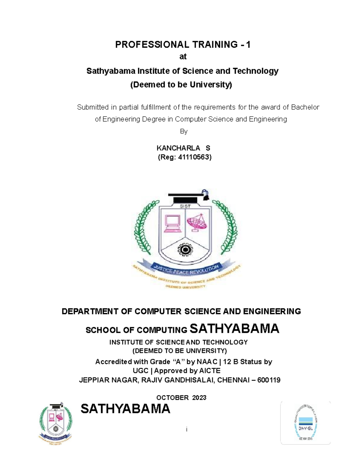 Madhusudhan Report - amfasdlfk - PROFESSIONAL TRAINING - 1 at ...