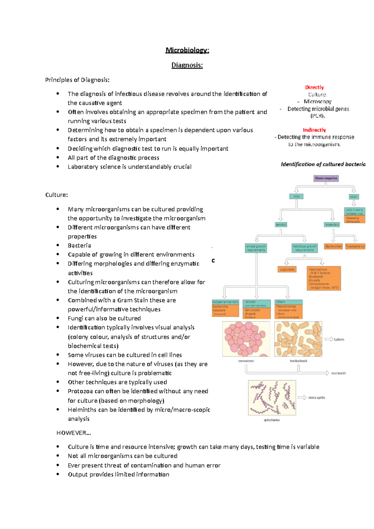 Lecture 10 - Diagnosis - Microbiology : Diagnosis: Principles of ...