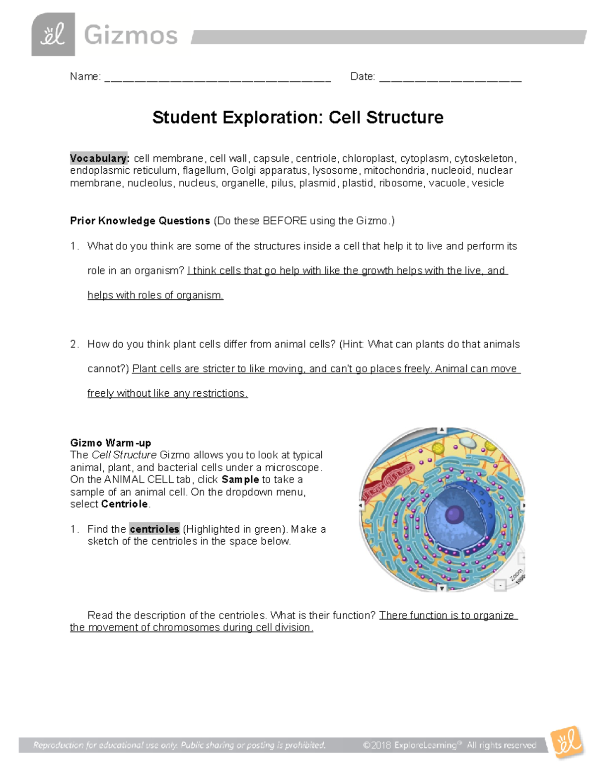 Cell Structure Gizmo - work - Name ...
