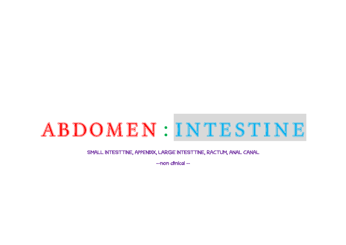 Abdomen-intesttine - anatomy notes - ABDOMEN : INTESTINE SMALL ...