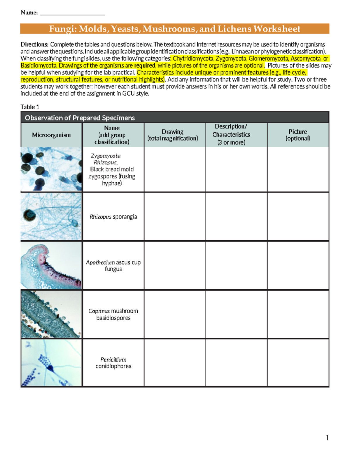 Bio182-03.01-worksheet Fungi - Fungi: Molds, Yeasts, Mushrooms, and ...