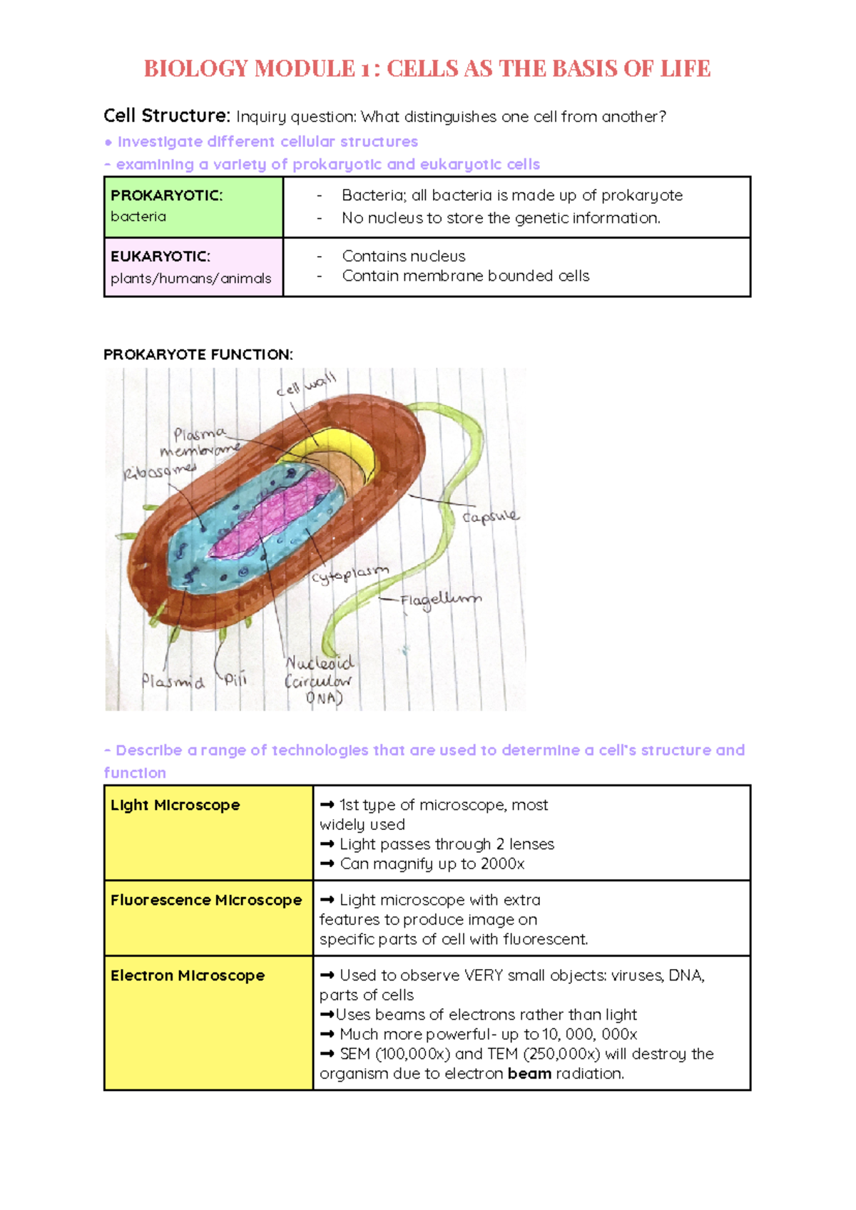 BIO Module 1 - Google Docs - Cell Structure: Inquiry question: What ...