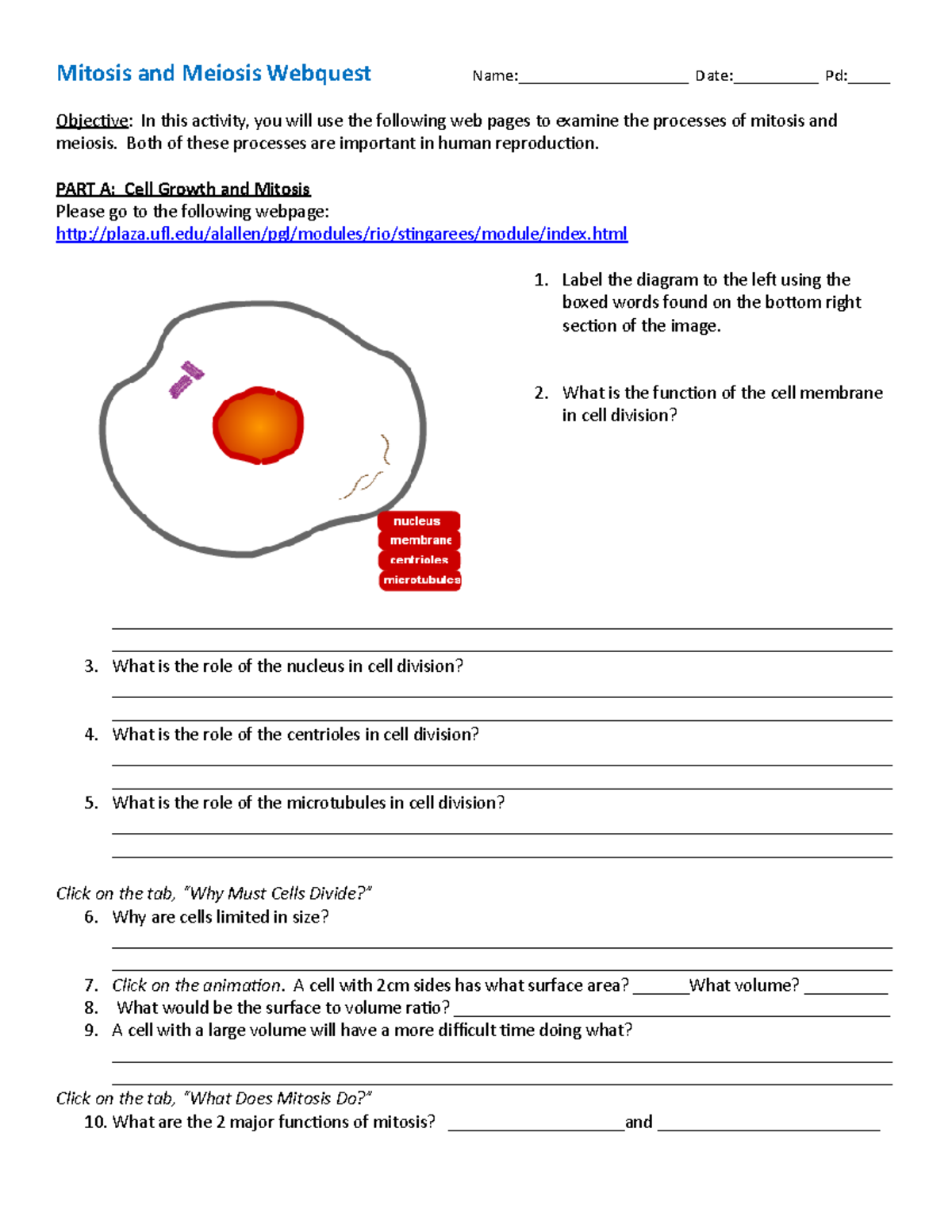 Mitosis and Meiosis Webquest S14-1 - BIO 112 - Studocu