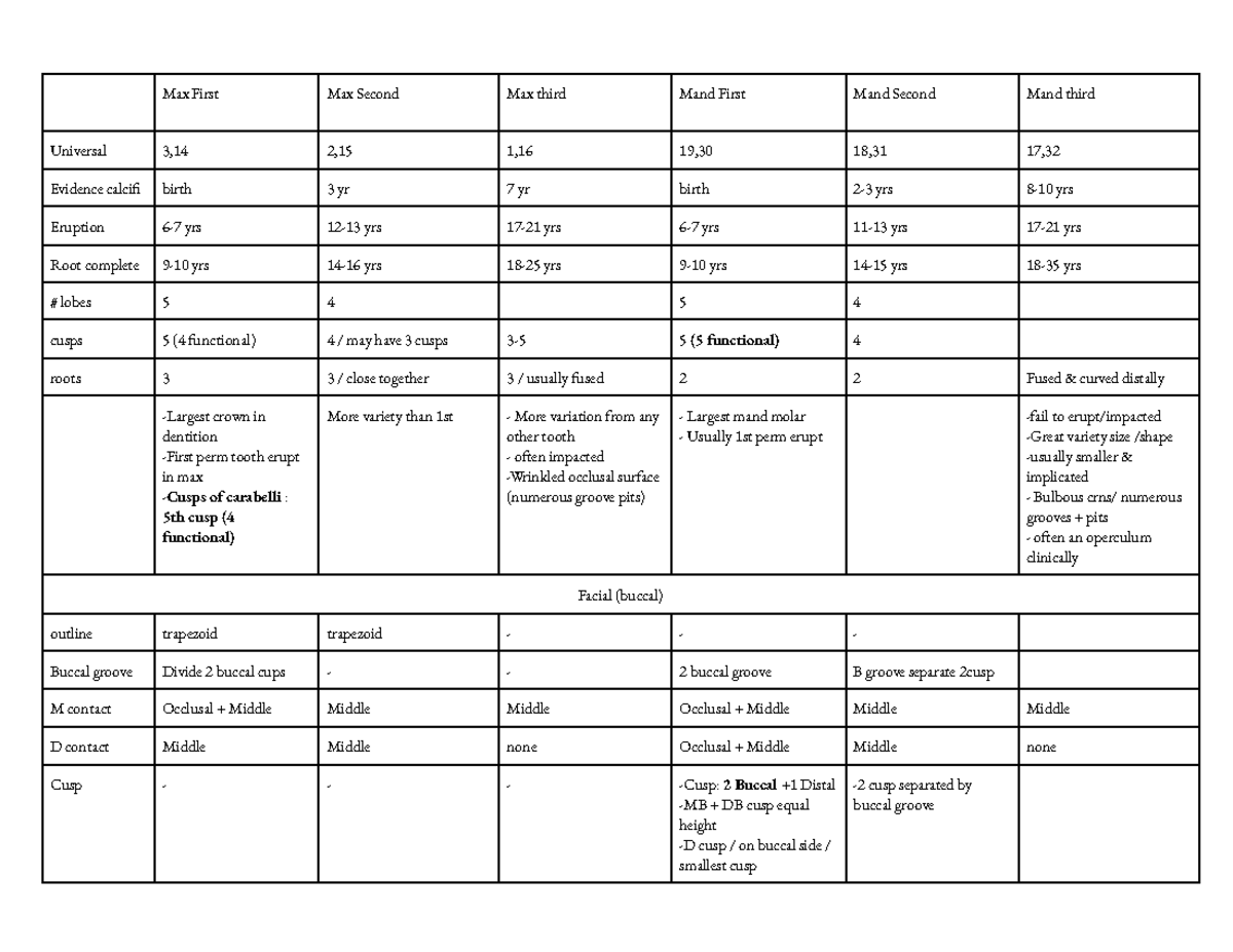Molars chart - Max First Max Second Max third Mand First Mand Second ...
