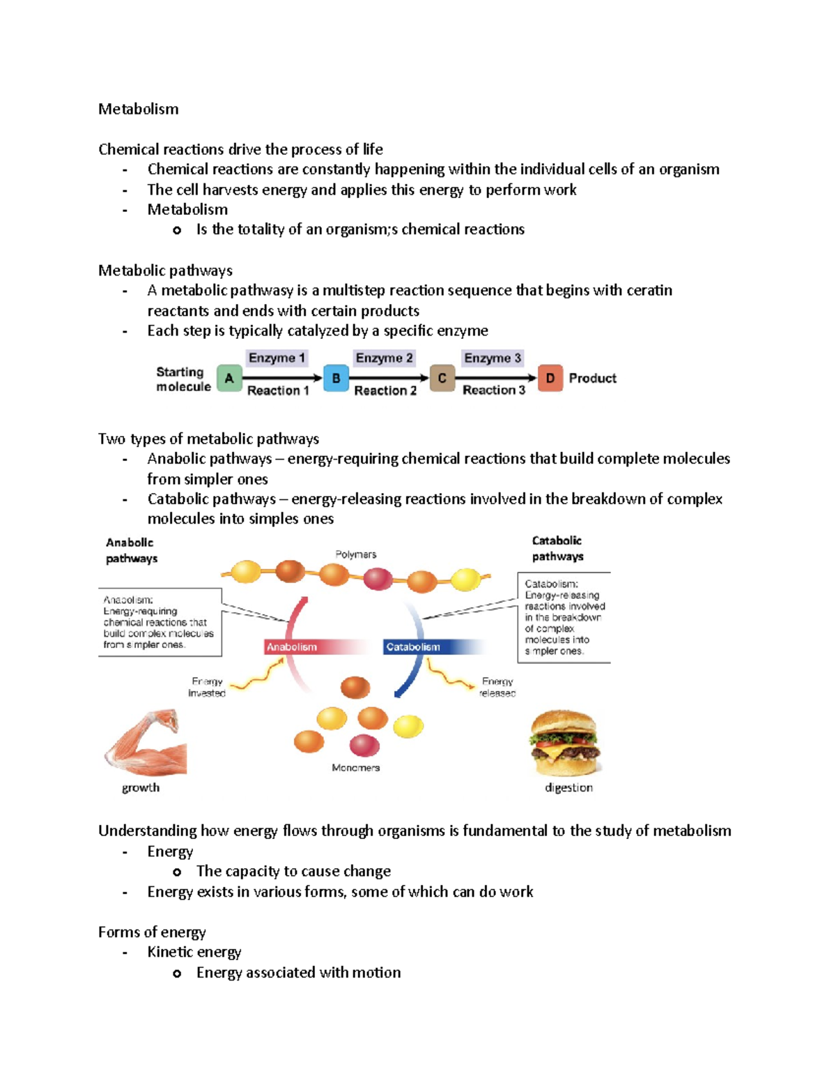 Metabolism 9:21 - Dr. Brain Couch - Metabolism Chemical reactions drive ...