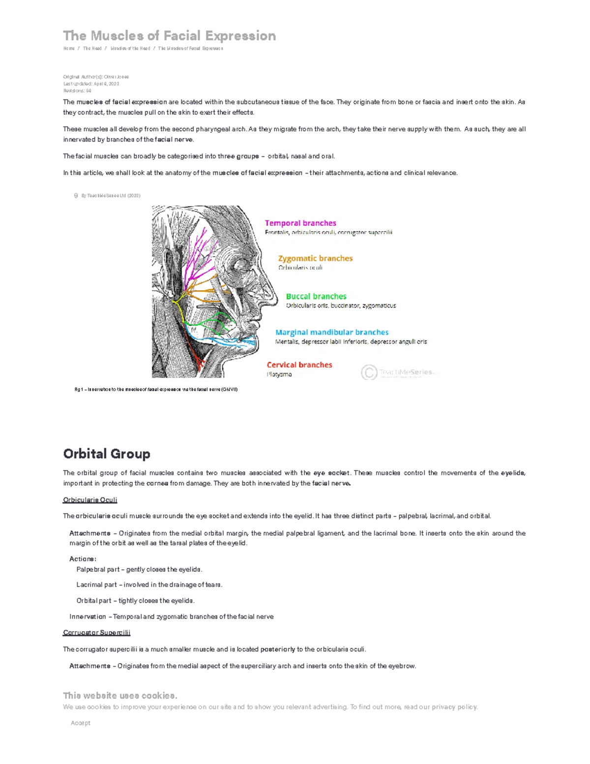 The Muscles of Facial Expression - Orbital Group - Nasal Group - Oral ...