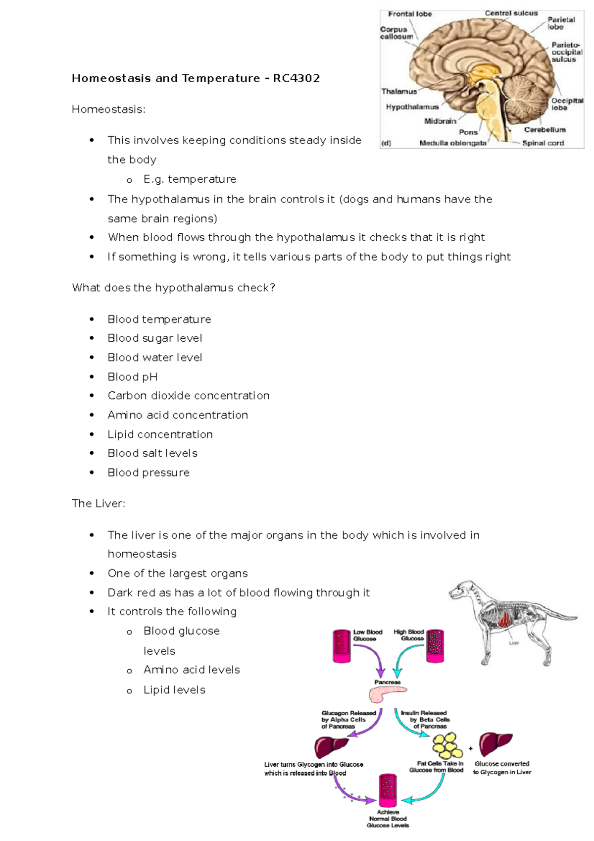 Lesson 8 - Homeostasis and Temperature - Homeostasis and Temperature ...