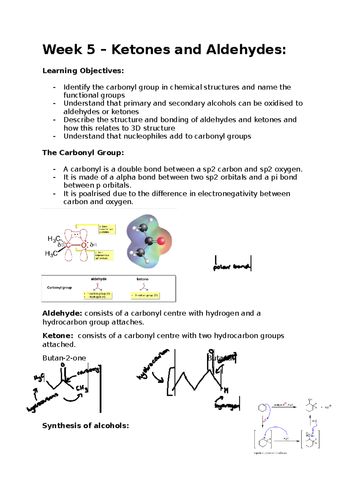 Week 5 CHM - Scaffolding notes for the topics of weeks workbook and ...