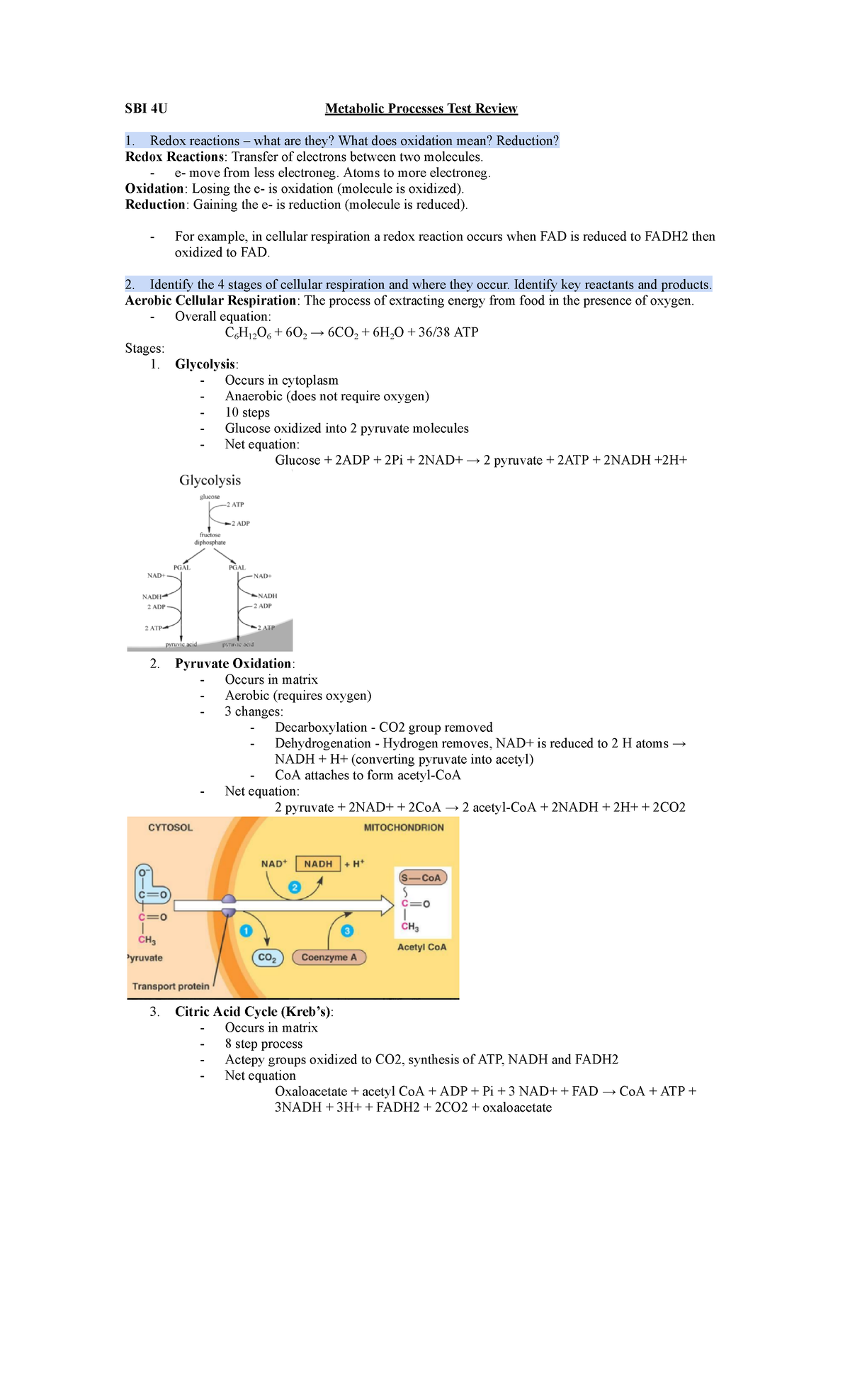 Metabolic Processes Test Review - SBI 4U Metabolic Processes Test ...
