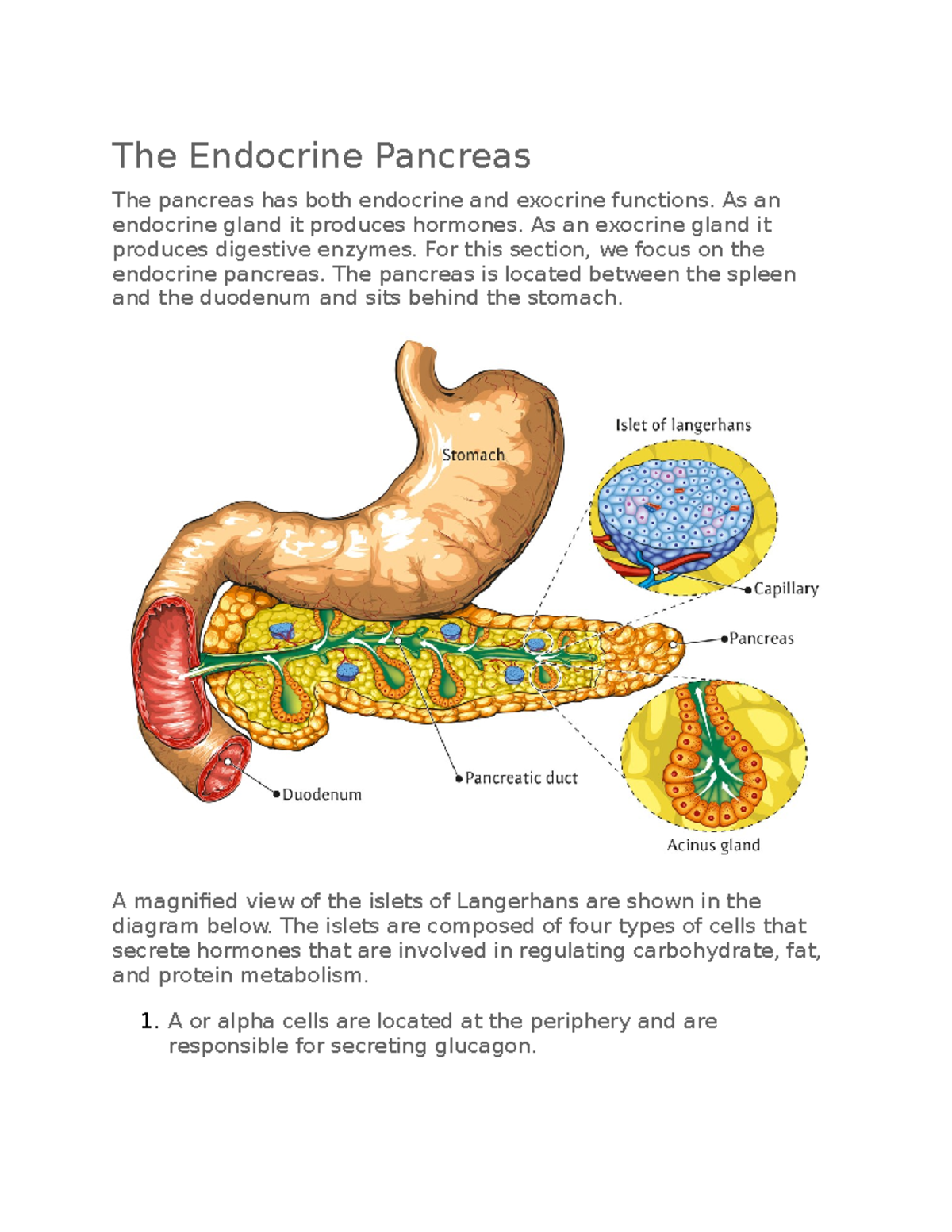 Diabetes - Great notes to for the patho chapters. Get ahead and study ...