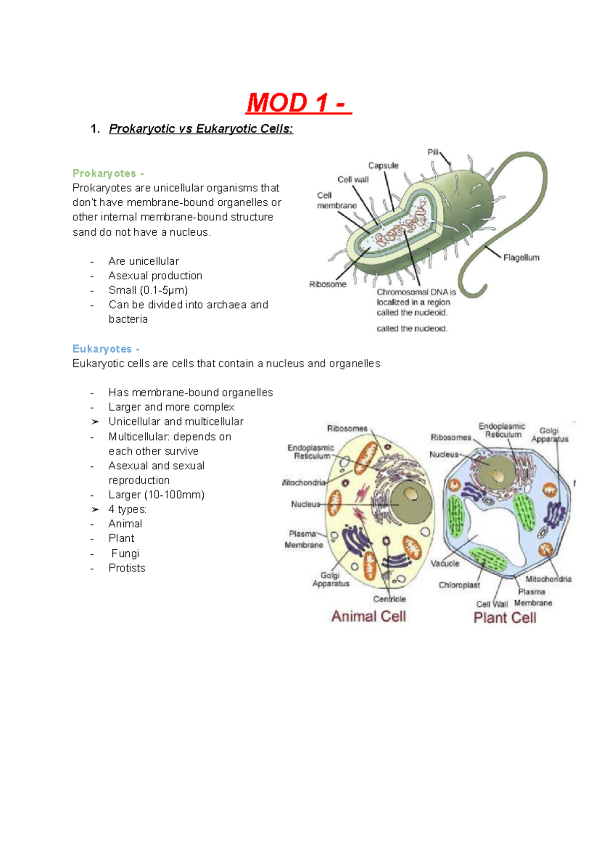 BIOLOGY - Preliminary Revision - MOD 1 - 1. Prokaryotic vs Eukaryotic ...