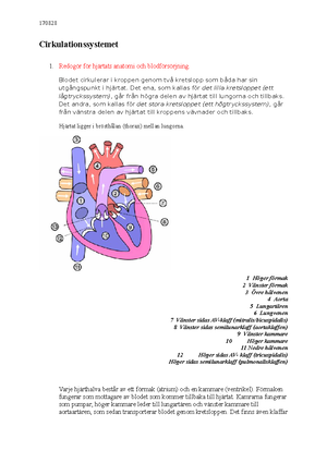 Gruppövning Respirationssystemet - Gruppövning/ Respirationssystemet ...