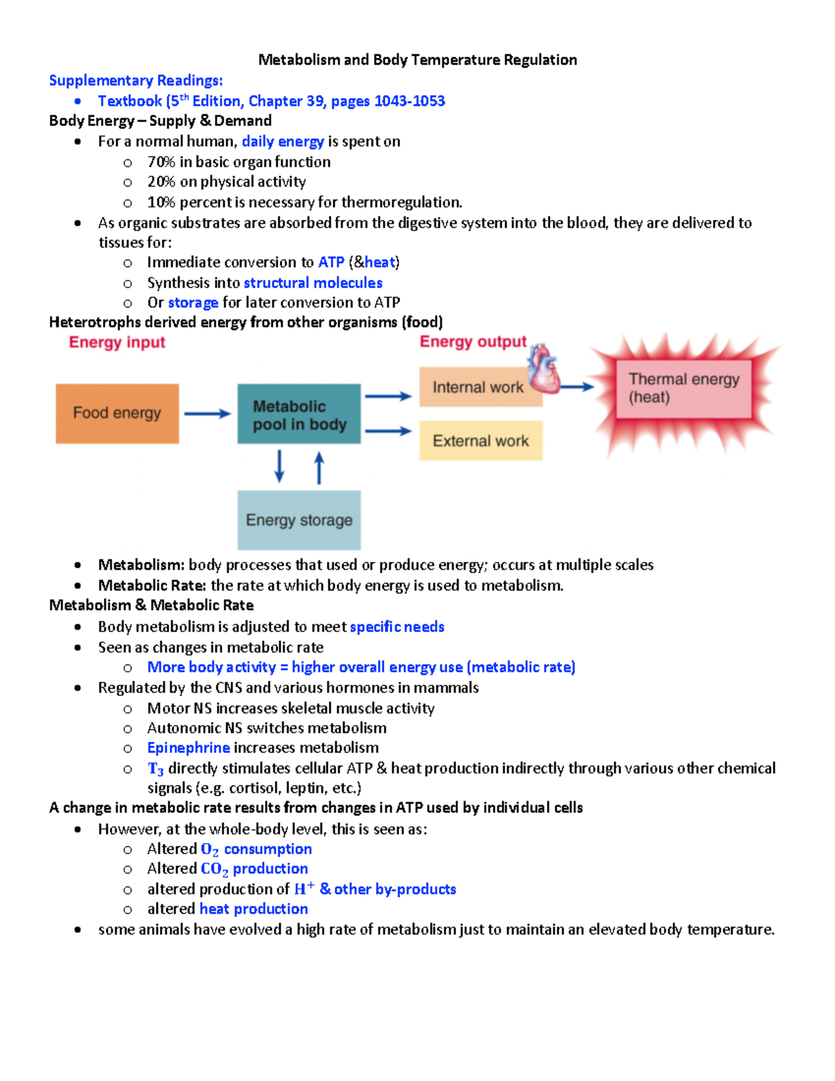 Metabolism Lecture Notes - Bio 224 - Metabolism and Body Temperature ...