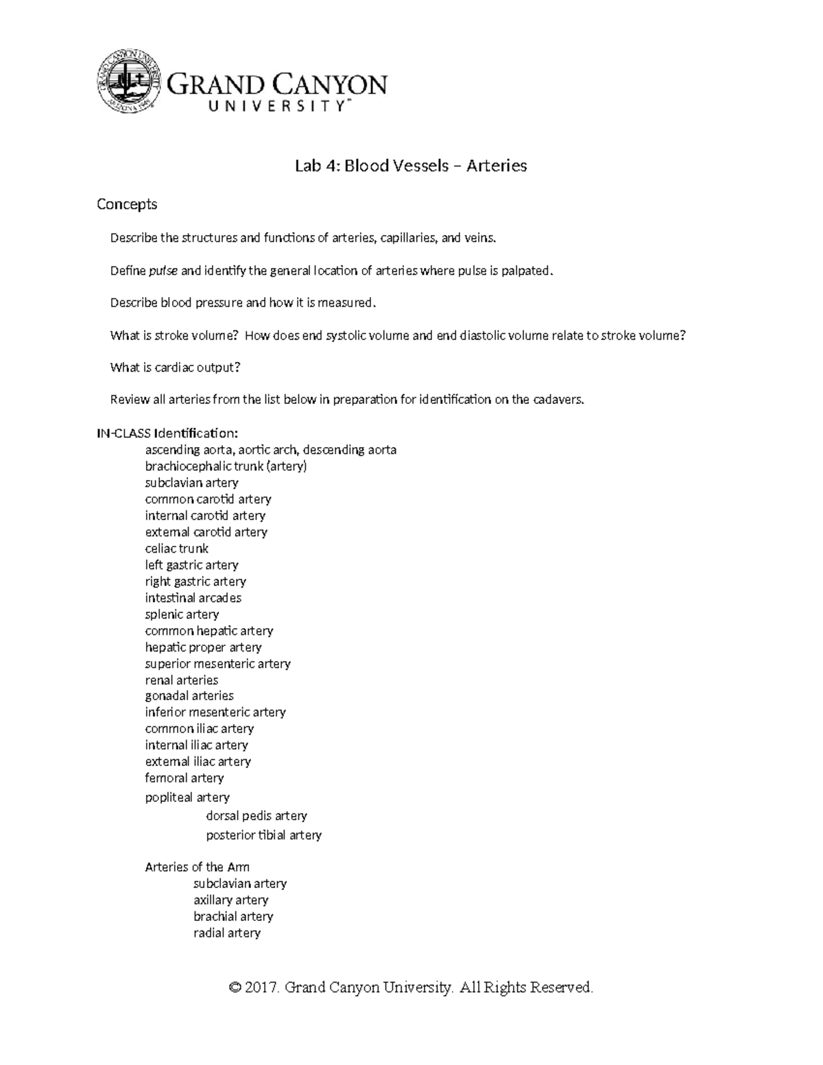 BIO 211L RS Lab Week 5 Arteries - Lab 4: Blood Vessels – Arteries ...