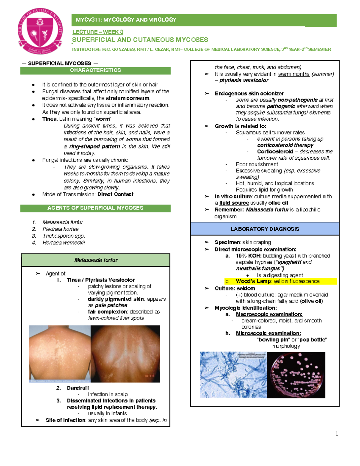 Lec Week 3 MYCV311 - LECTURE – WEEK 3 SUPERFICIAL AND CUTANEOUS MYCOSES INSTRUCTOR: M. GONZALES ...
