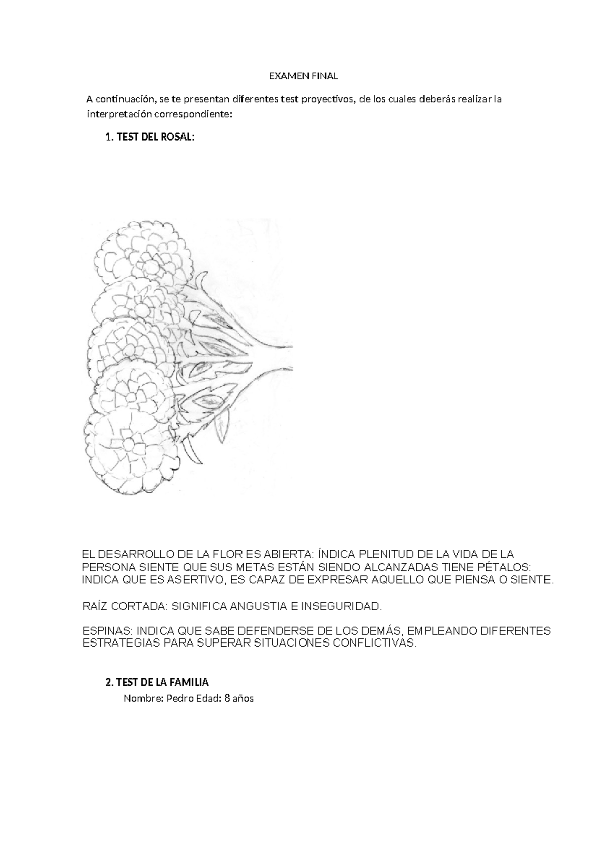 Examen-de tecnicas proyectivos - EXAMEN FINAL A continuación, se te ...
