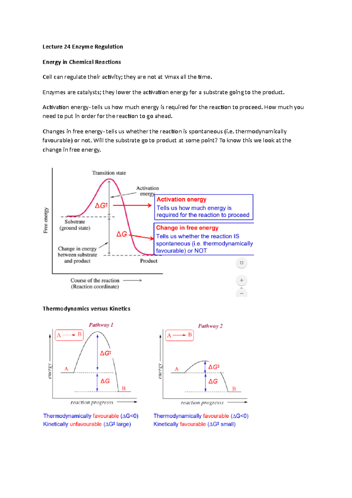 Lecture 24 Enzyme Regulation - Lecture 24 Enzyme Regulation Energy in ...