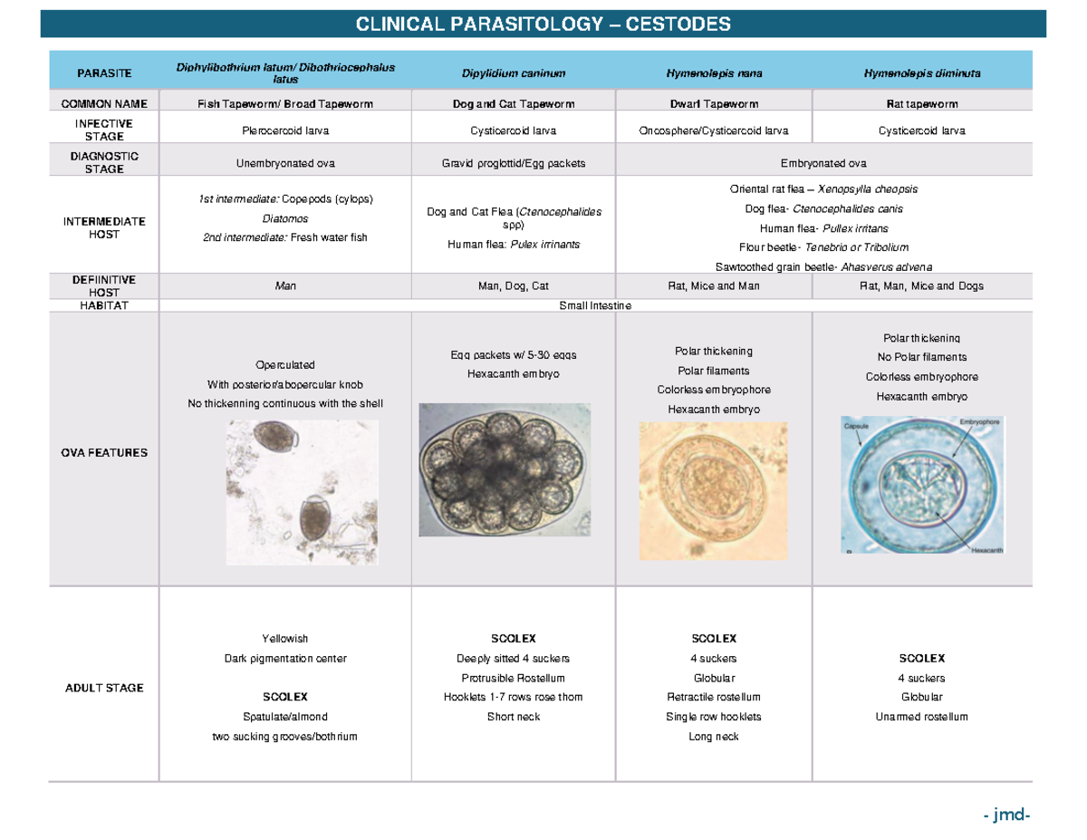 Cestodes - Parasitology - CLINICAL PARASITOLOGY – CESTODES PARASITE ...