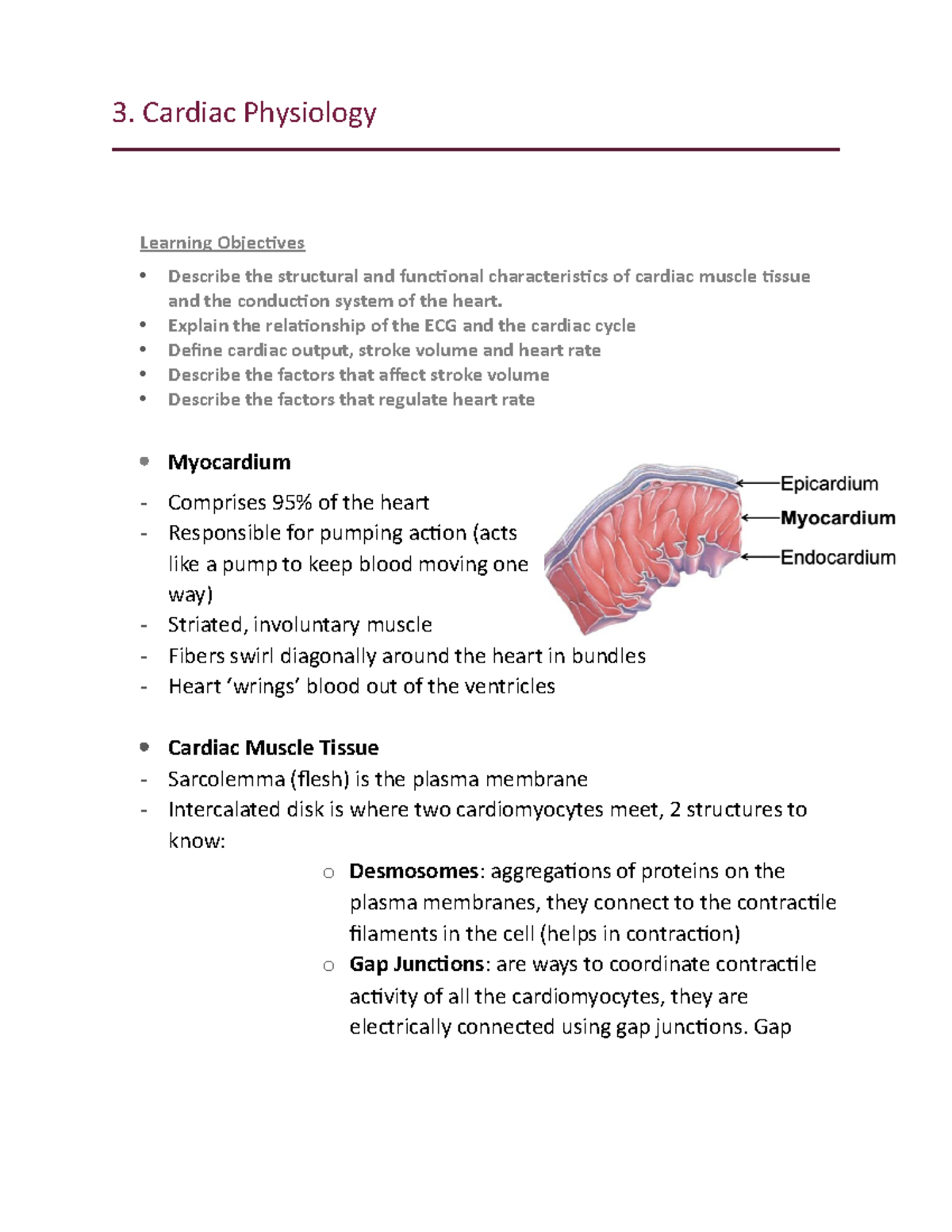 3. Cardiac Physiology - 3. Cardiac Physiology **Learning Objectives ...