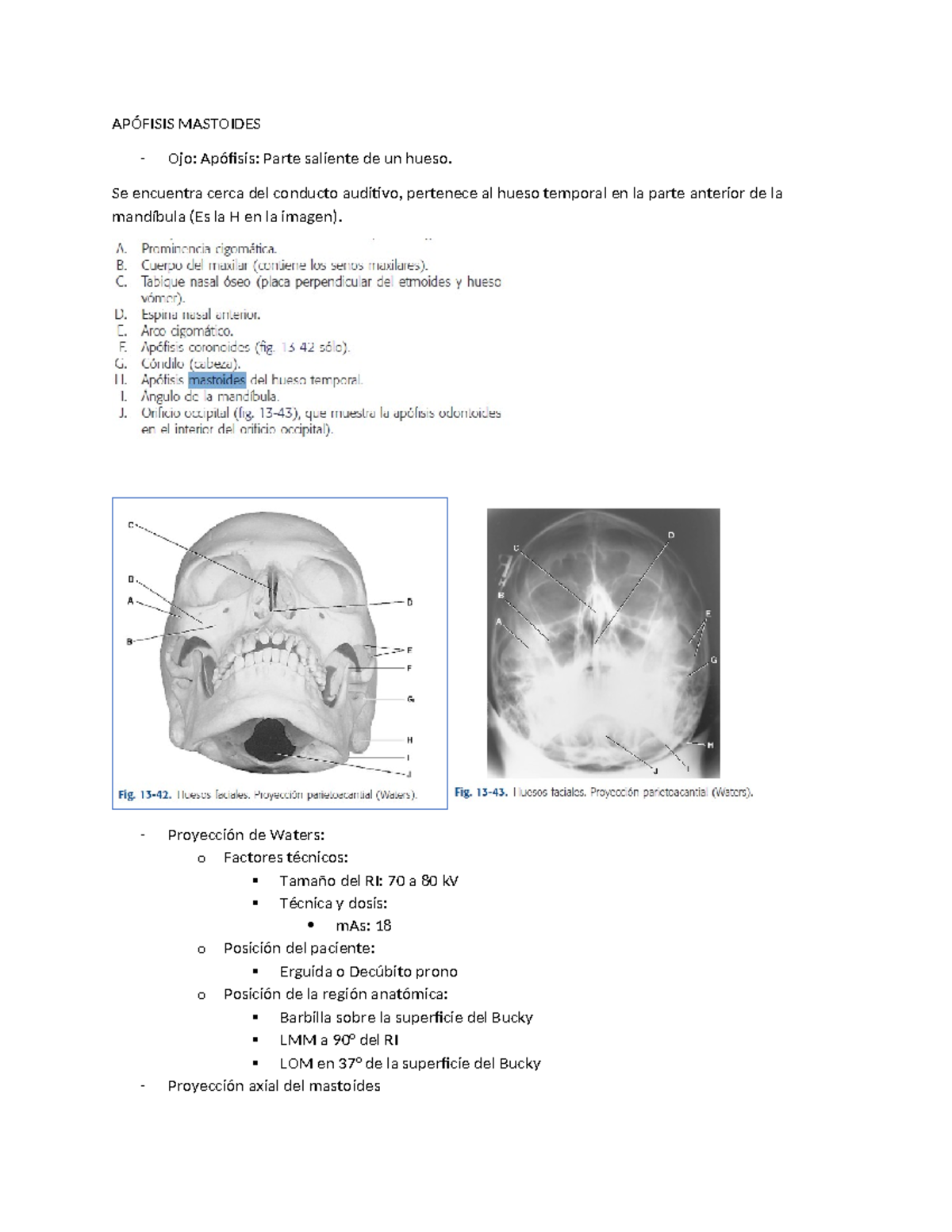 Apófisis Mastoides - APÓFISIS MASTOIDES Ojo: Apófisis: Parte saliente ...