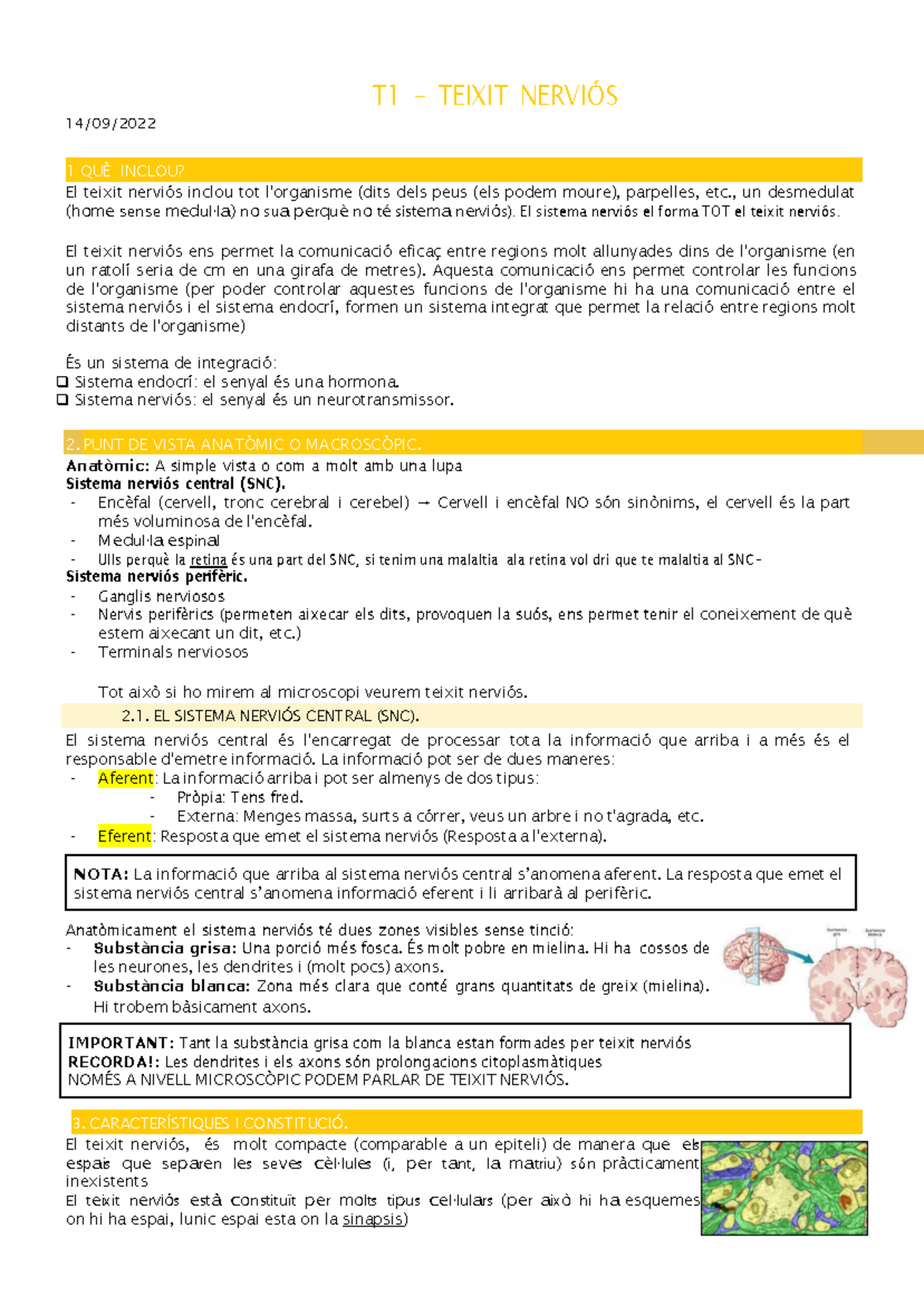 T1 Teixit Nervios - NOTA: La informaciÛ que arriba al sistema nerviÛs ...
