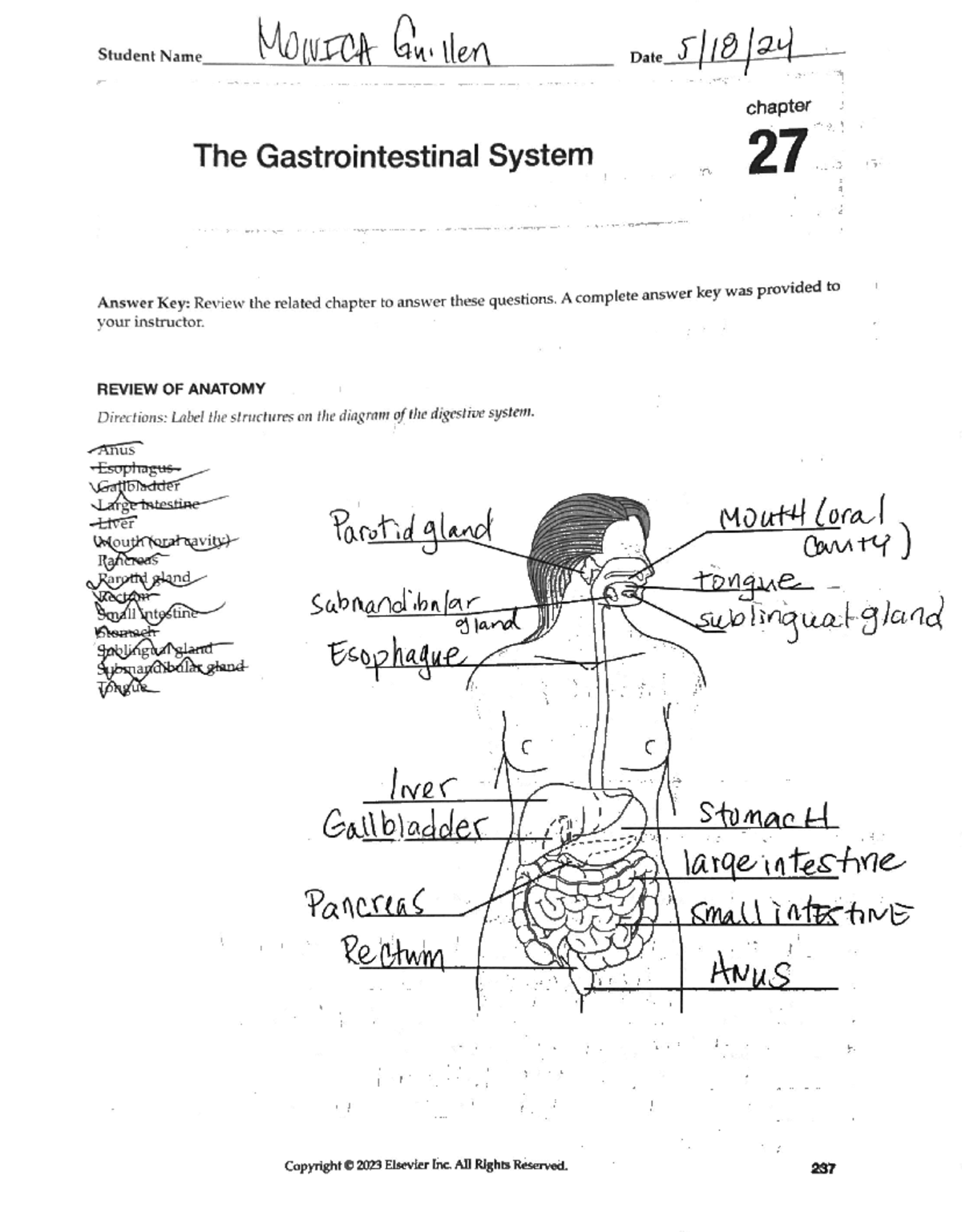 The Gastrointestinal System - NUR 1400 - Studocu