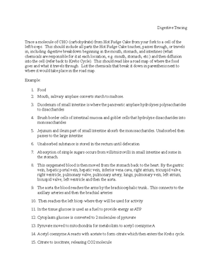 Reproductive Tracing Assignment - Reproductive Tracing Trace the path ...