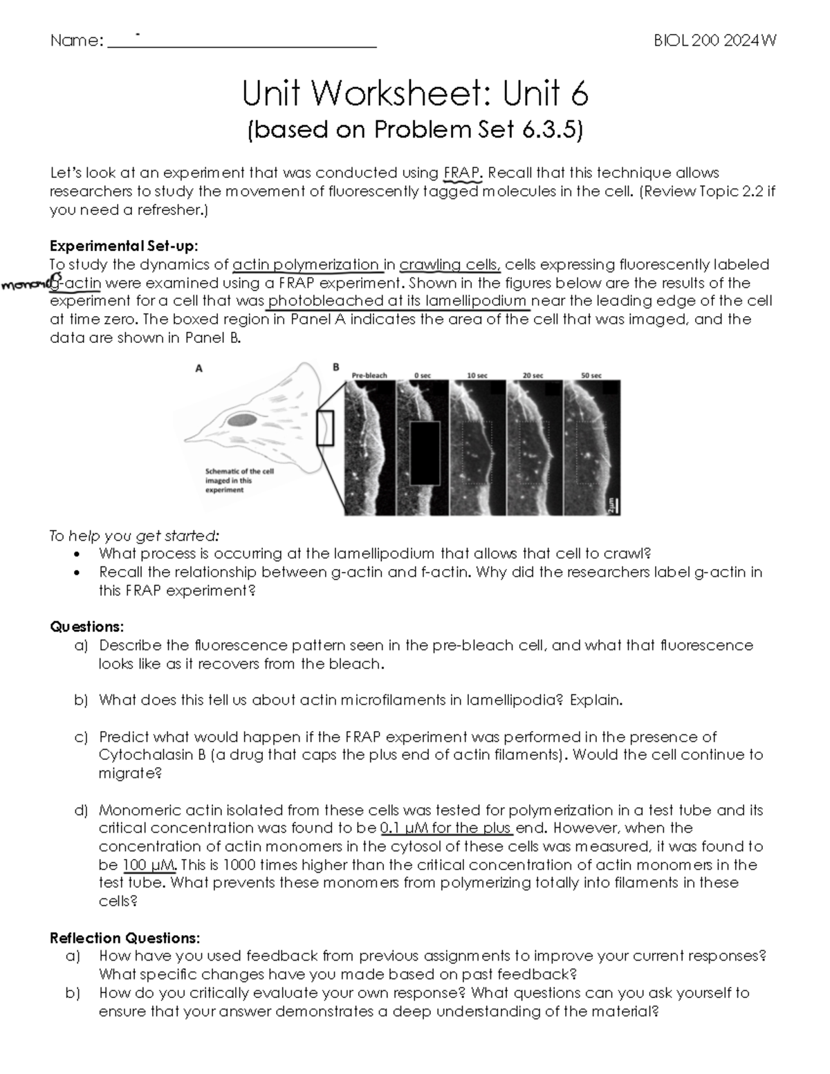 UW Unit6 - Unit 6 worksheet - Name ...