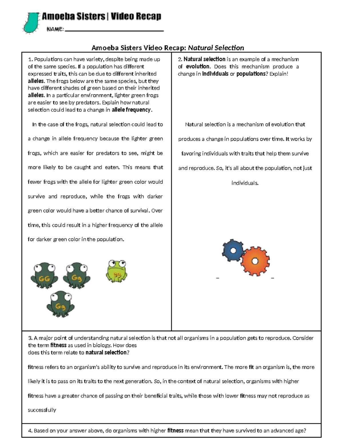Thumb 1200 1553 - Amoeba sisters answer key - Amoeba Sisters I Video ...