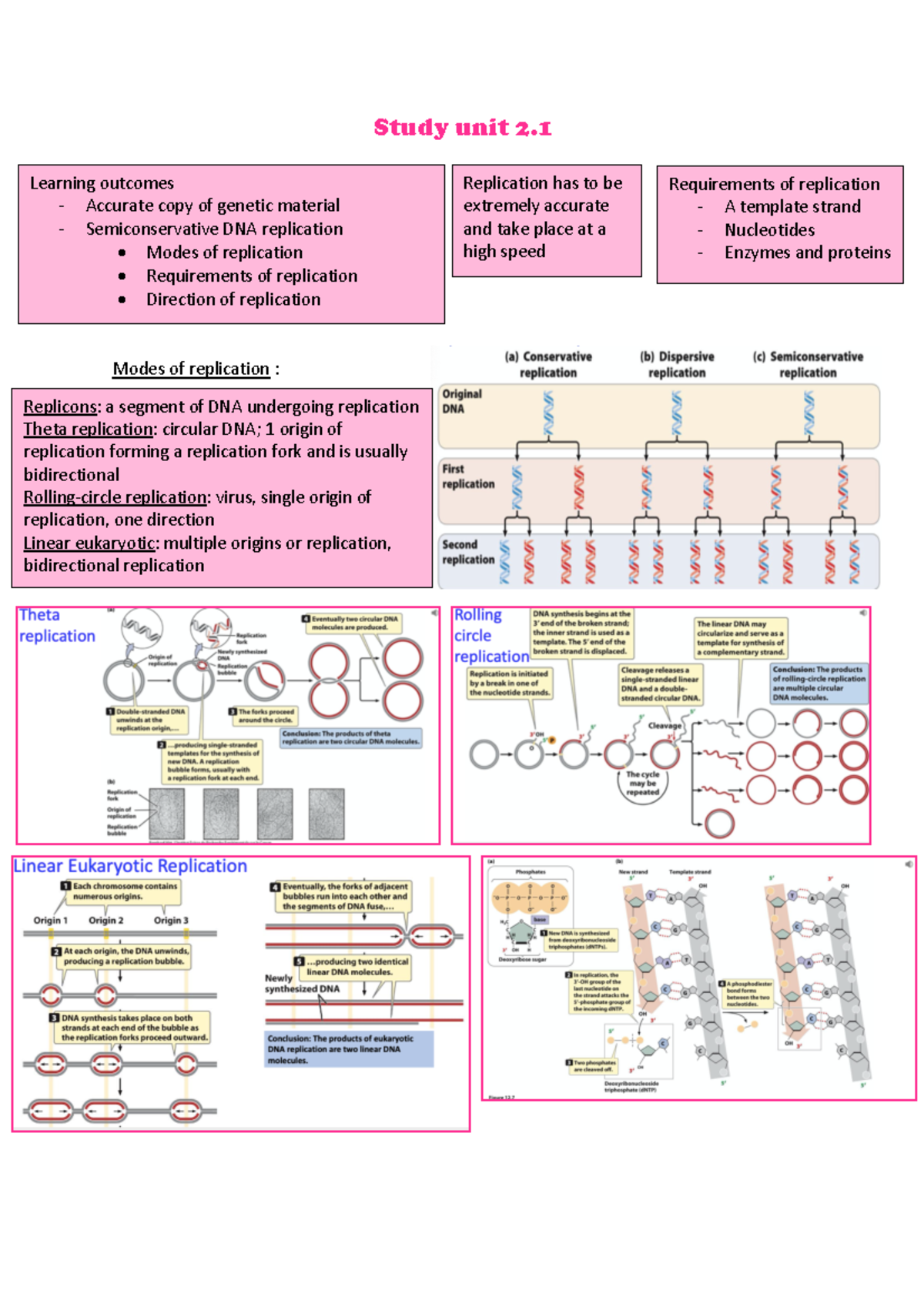 GTS 251- SU 2 - Summary Genetics - Study unit 2. Modes of replication ...