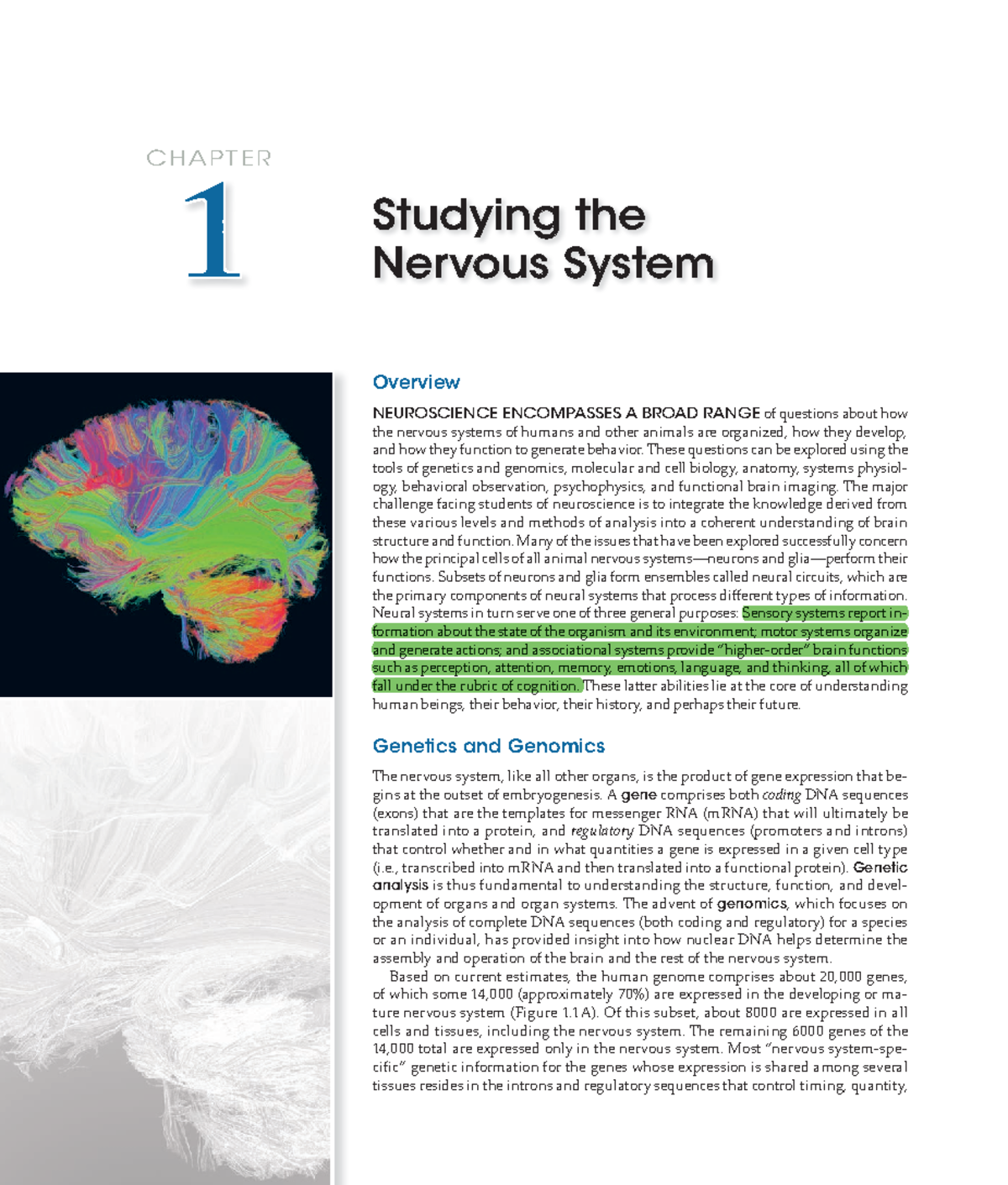 Neuroscience ch1, 6th Edition - Studying the Nervous System ...