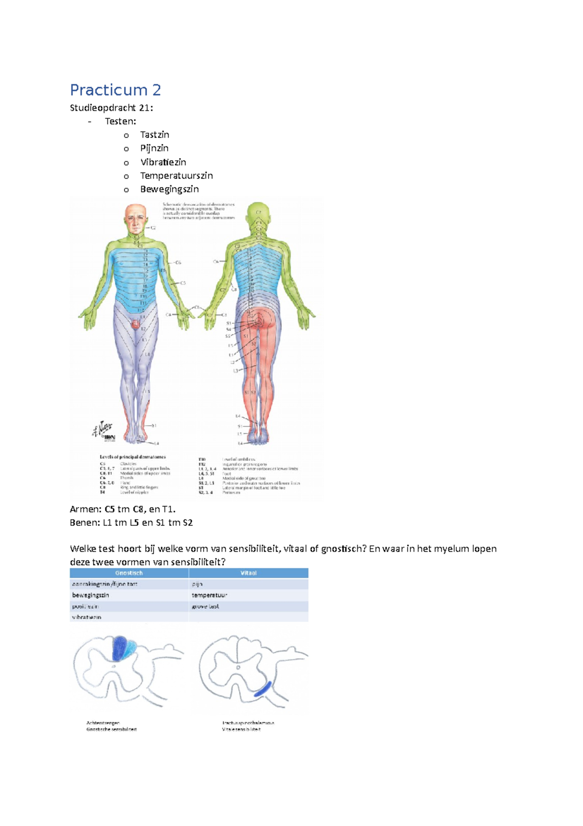 Practicum 2 - Practicum 2 Studieopdracht 21: - Testen: o Tastzin o ...
