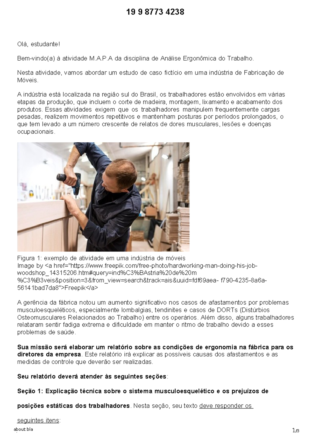 MAPA - RH - Análise Ergonômica DO Trabalho - 512024 - about:bla nk 1 / ...